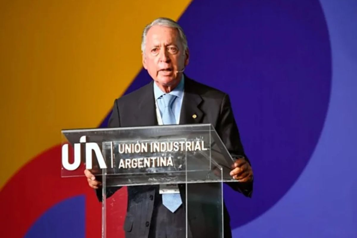 La UIA critica la propuesta de la Ley Ómnibus y advierte riesgos ...